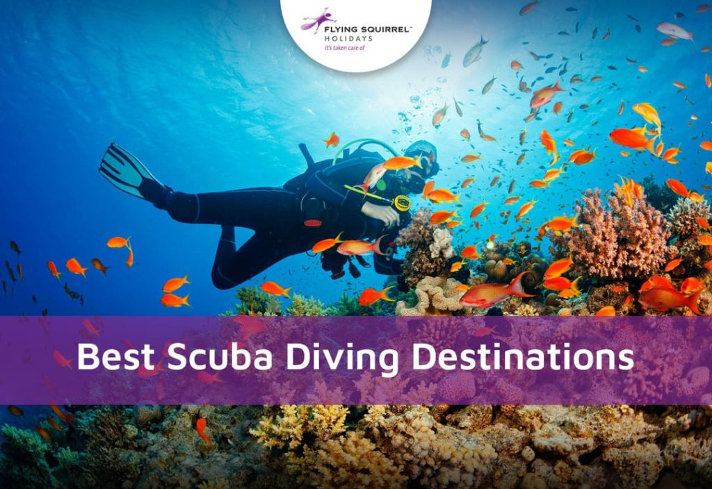 10 Best Scuba Diving Destinations - PT ASIK COM